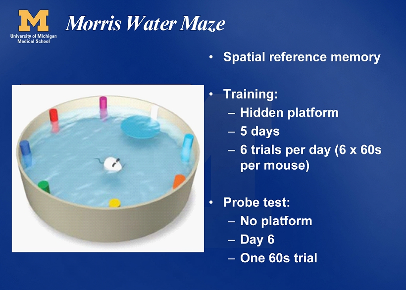 Form 8-K Neuralstem, Inc. For: Sep 29